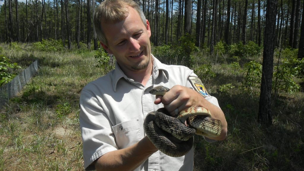 BLM Land in Louisiana: A Complete Guide - The Complete Guide to ...